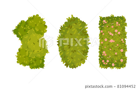 View from above of hedges of different shapes... - Stock Illustration ...