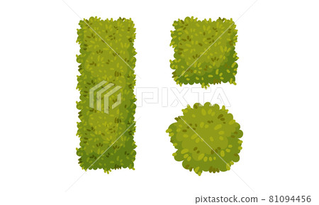 Hedges of different shapes set. Park and garden... - Stock Illustration ...