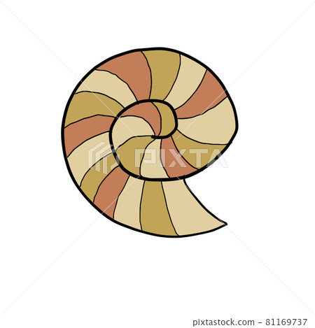 Simple ammonite shell - Stock Illustration [81169737] - PIXTA