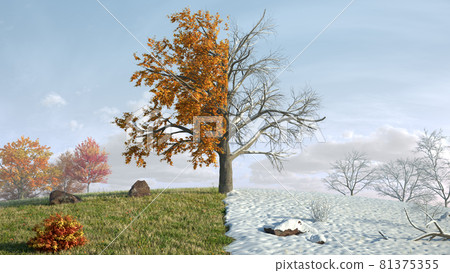 from autumn to winter - Stock Illustration [81375355] - PIXTA