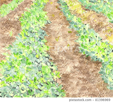 Landscape painting Peanut field [Hand-painted... - Stock Illustration ...