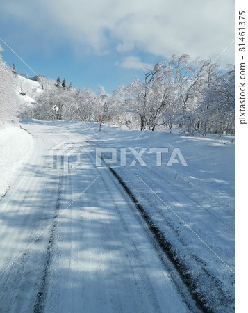 Snow road in a sunny day - Stock Photo [81461375] - PIXTA