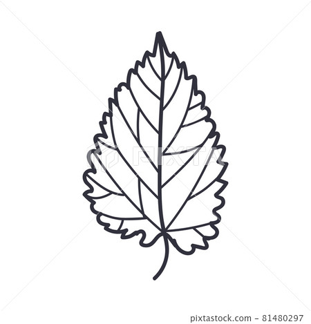 Hand Drawn Autumn Leaf Contour or Outline... - Stock Illustration ...
