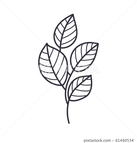 Hand Drawn Autumn Leaf Contour or Outline... - Stock Illustration ...