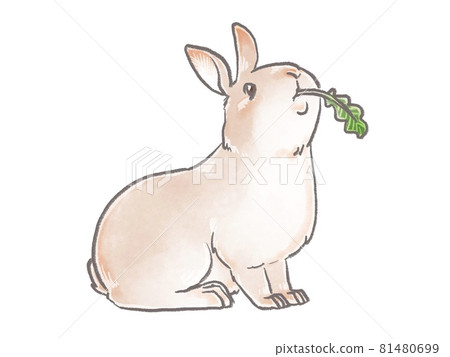 Rabbit eating leaves - Stock Illustration [81480699] - PIXTA