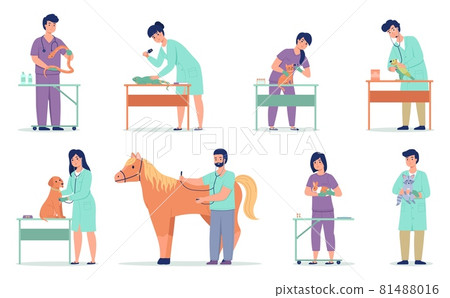 Vet doctors. Animal patients with... - Stock Illustration [81488016 ...