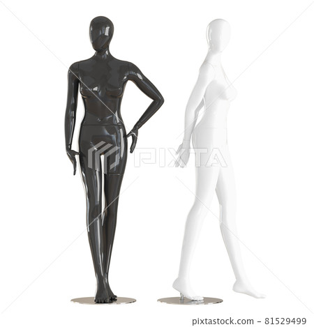 Two female faceless mannequins stand in elegant... - Stock Illustration ...