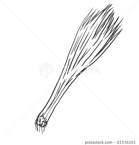Japanese-style hand-drawn line drawing... - Stock Illustration ...