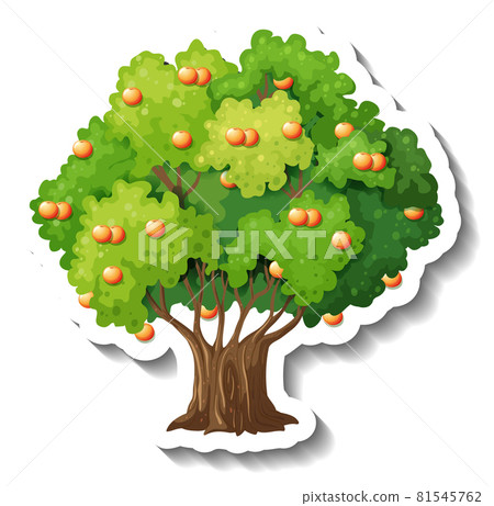 Orange tree sticker on white background - Stock Illustration [81545762 ...