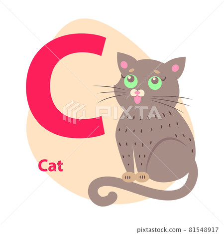 Zoo ABC Letter with Cute Cat Cartoon Vector - Stock Illustration ...