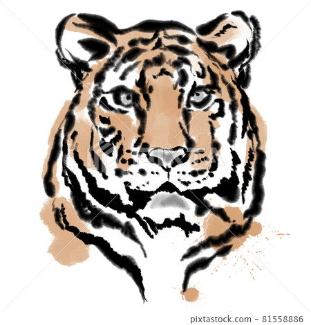 Sumi-e tiger - Stock Illustration [81558886] - PIXTA