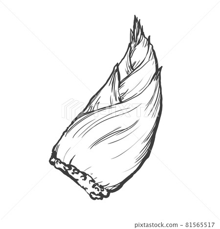 Bamboo Stalk Drawing