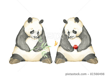 Twin brothers panda [hand-painted watercolor] - Stock Illustration ...