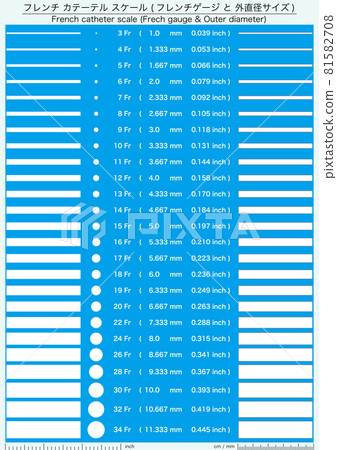 [Medical] French catheter scale (vertical) - Stock Illustration ...