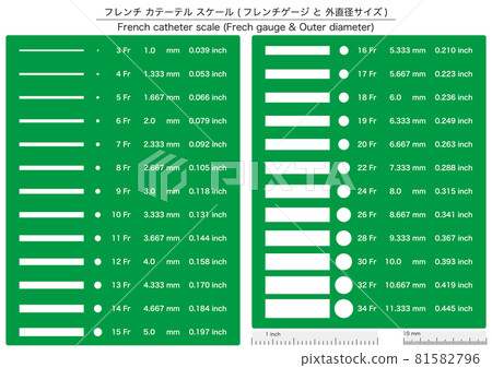 [Medical] French catheter scale (horizontal) - Stock Illustration ...