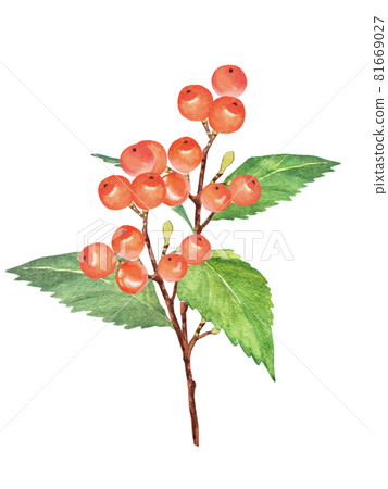 Senryo watercolor illustration New Year's material - Stock Illustration ...