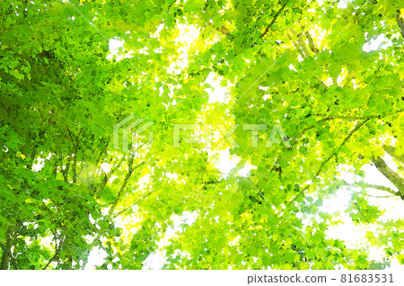 New green color water style - Stock Illustration [81683531] - PIXTA