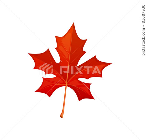Autumn maple leaf cartoon isolated vector icon - Stock Illustration ...