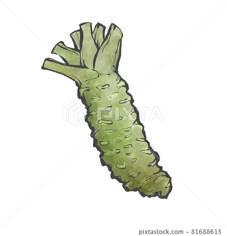 Japanese-style hand-drawn illustration of wasabi - Stock Illustration ...