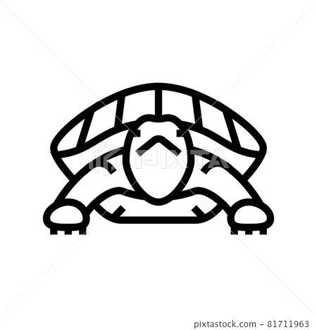 turtle tropical line icon vector illustration - Stock Illustration ...