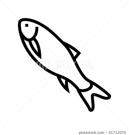 rohu fish line icon vector illustration - Stock Illustration [81712070 ...