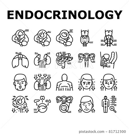 Endocrinology Medical Disease Icons Set Vector - Stock Illustration ...