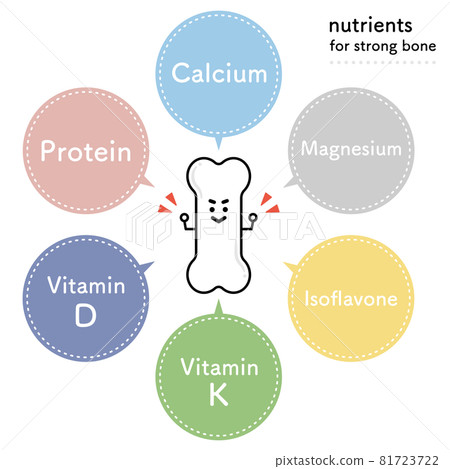 Nutrients that strengthen bones (English ver.) - Stock Illustration ...