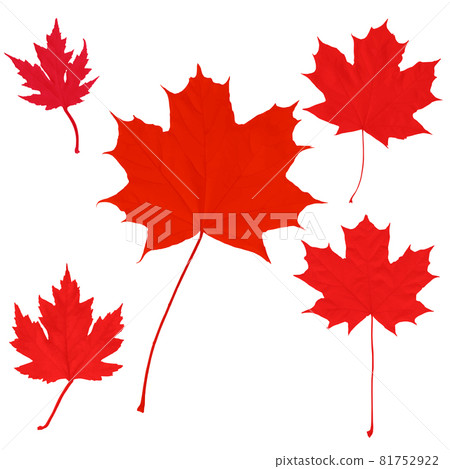 Canada Day maple leaves background. - Stock Illustration [81752922] - PIXTA
