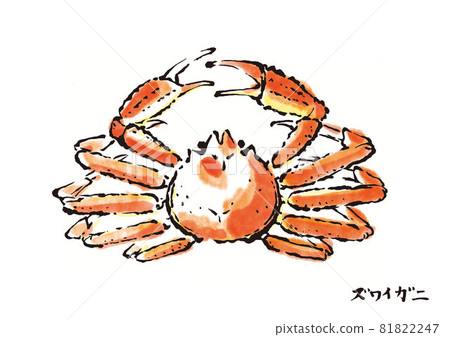 Snow crab - Stock Illustration [81822247] - PIXTA