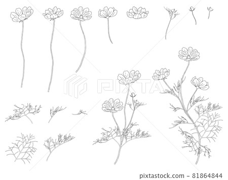 Cosmos illustration set (line drawing) - Stock Illustration [81864844 ...