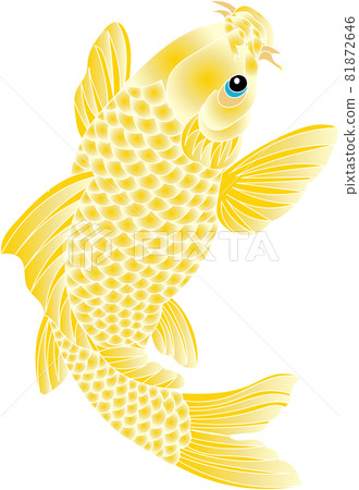 Golden carp - Stock Illustration [81872646] - PIXTA