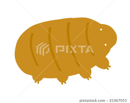 Cute tardigrade / handwritten illustration - Stock Illustration ...