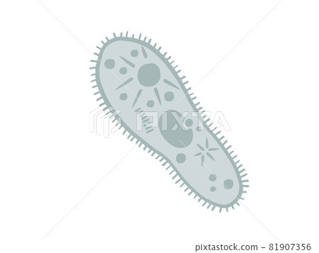 Cute paramecium / handwritten illustration - Stock Illustration ...