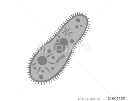 Cute paramecium / handwritten illustration - Stock Illustration ...