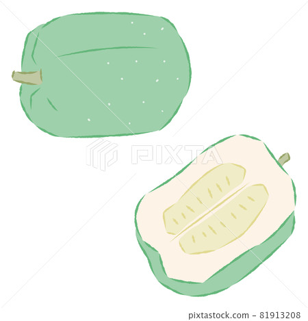 Winter melon illustration - Stock Illustration [81913208] - PIXTA