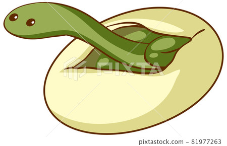 Snake Egg Hatching