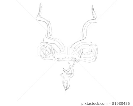 lesser kudu head with sketch on white - Stock Illustration [81980426 ...