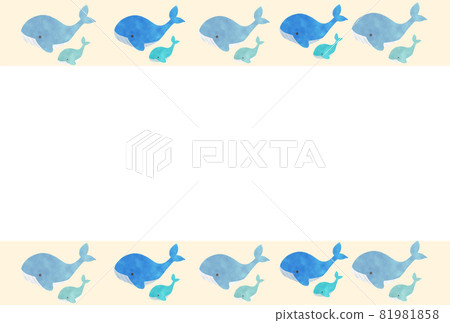 Whale frame illustration - Stock Illustration [81981858] - PIXTA