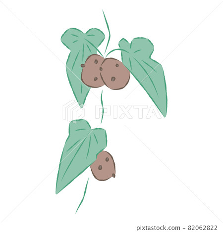 Illustration of propagule - Stock Illustration [82062822] - PIXTA