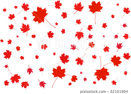 Canada Day maple leaves background. - Stock Illustration [82101904] - PIXTA