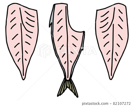 Fillet / fish - Stock Illustration [82107272] - PIXTA