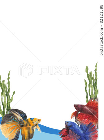Betta fish frame watercolor - Stock Illustration [82121399] - PIXTA