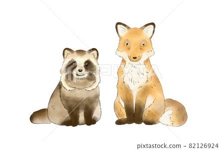 Watercolor-painted tanuki and fox - Stock Illustration [82126924] - PIXTA