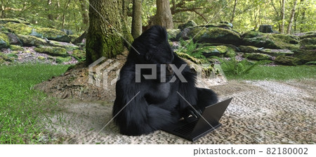 Gorilla with laptop in forest concept 3d... - Stock Illustration ...