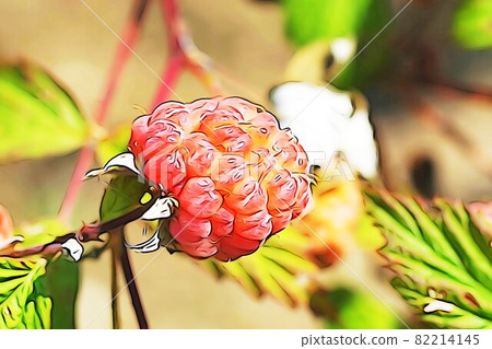 Pastel-like "red ripe raspberry" illustration... - Stock Illustration ...