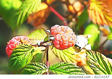 Pastel-like "red ripe raspberry" illustration... - Stock Illustration ...