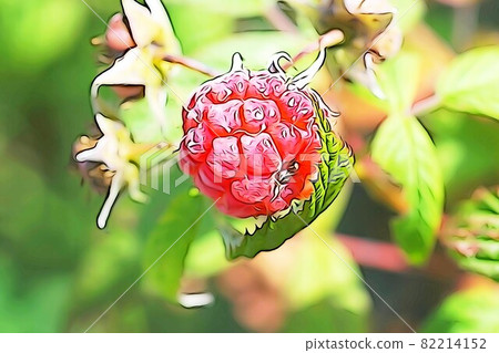 Pastel-like "red ripe raspberry" illustration... - Stock Illustration ...