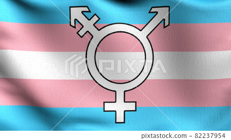 Transgender flag. Community, LGBT worldwide... - Stock Illustration ...