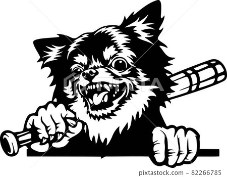 Angry Chihuahua - bad dog with gun - vector... - Stock Illustration ...