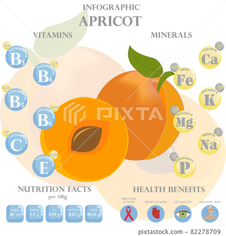 Apricot nutrition facts and health benefits... - Stock Illustration ...